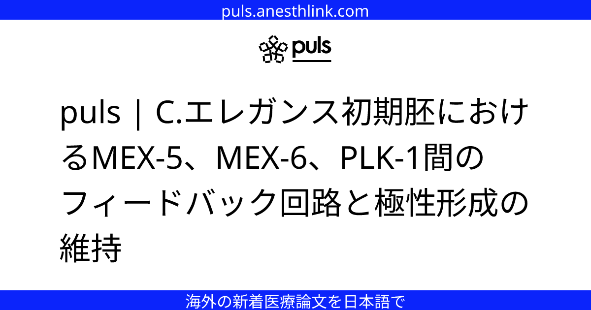 puls | C.エレガンス初期胚におけるMEX-5、MEX-6、PLK-1間のフィードバック回路と極性形成の維持